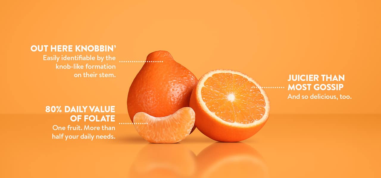 Minneola tangelos | Sunkist my-en